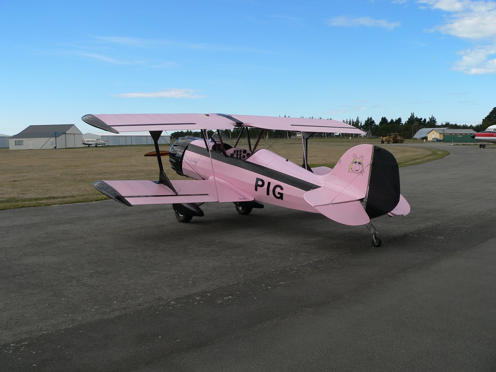 NZ Civil Aircraft: Don't mess with the Pig.