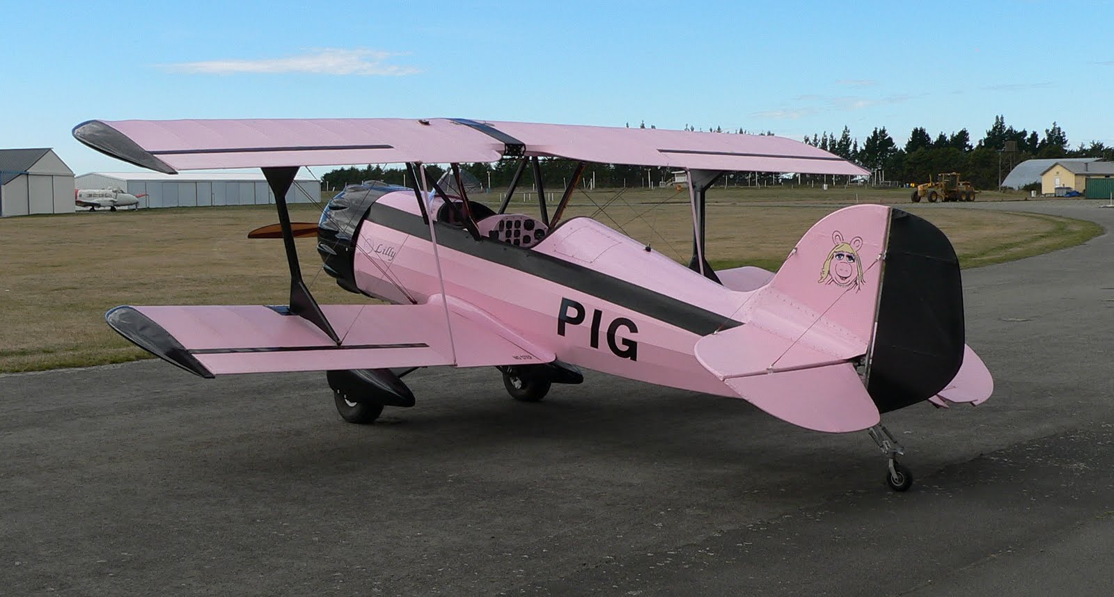 NZ Civil Aircraft: Don't mess with the Pig.