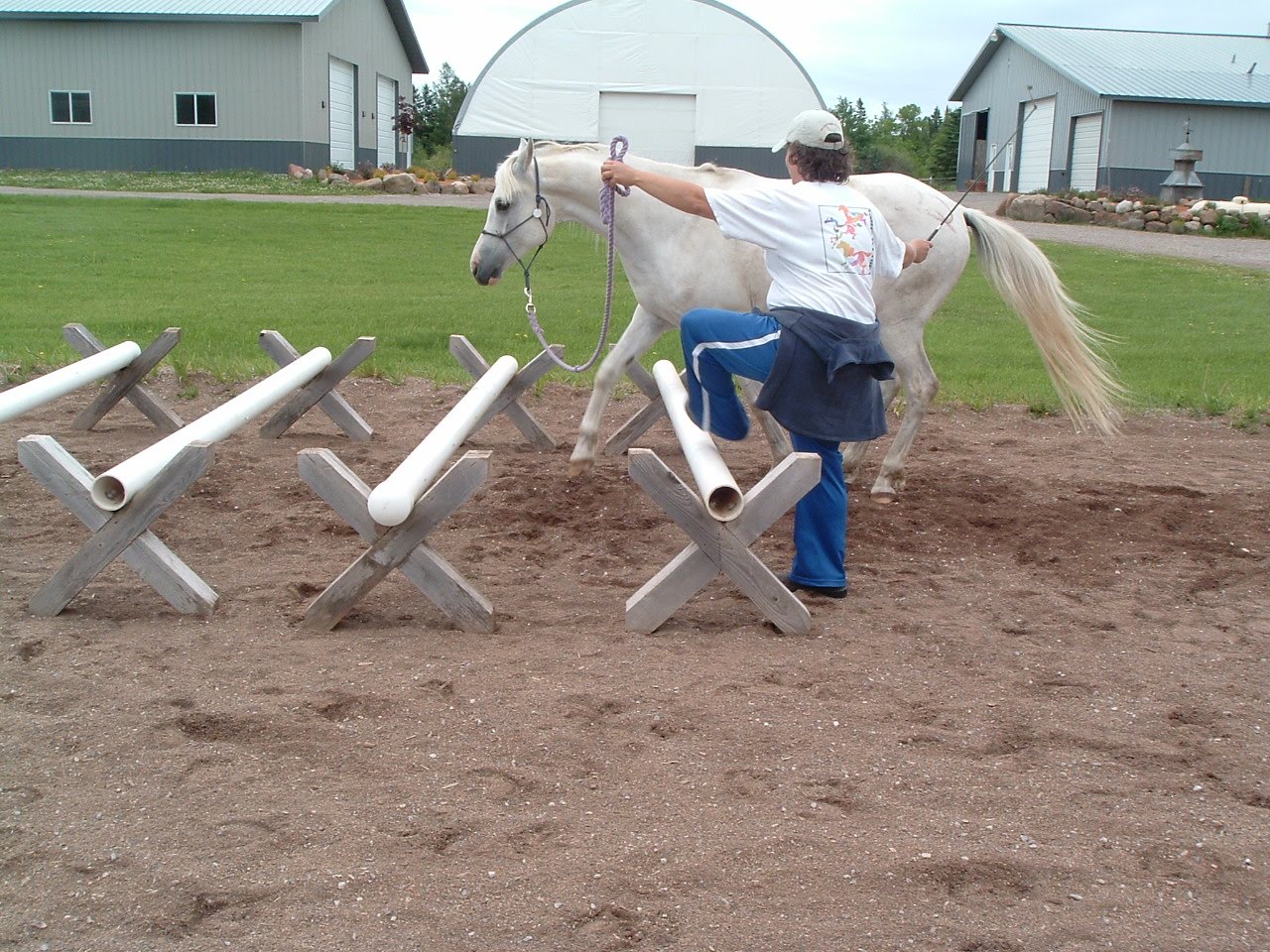 Trotting Down the Trail: Core Training