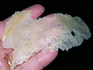 CUCINARE LONTANO: 37 - Pasta Fillo, o Phyllo, o Yufka...