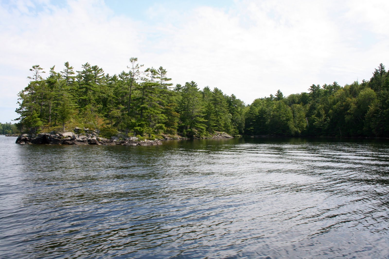 'Burg Birder: Browning Island and Lake Muskoka