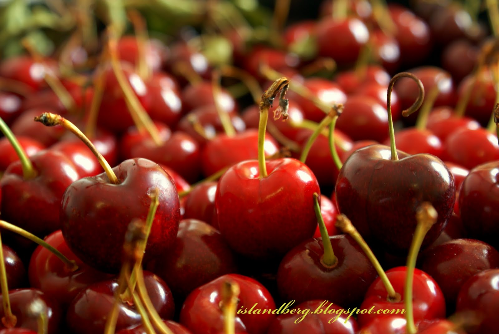 Islandberg: Cerejas