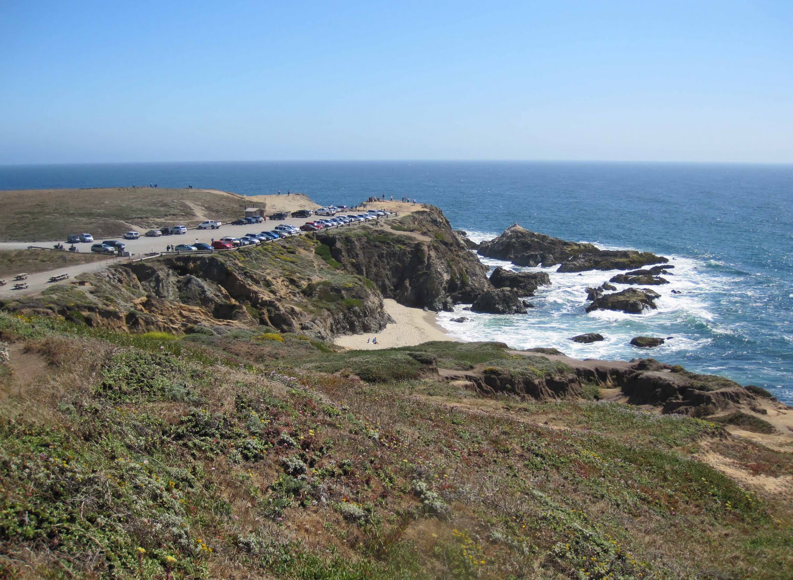BodegaBayLife: Gorgeous Day at Bodega Head!