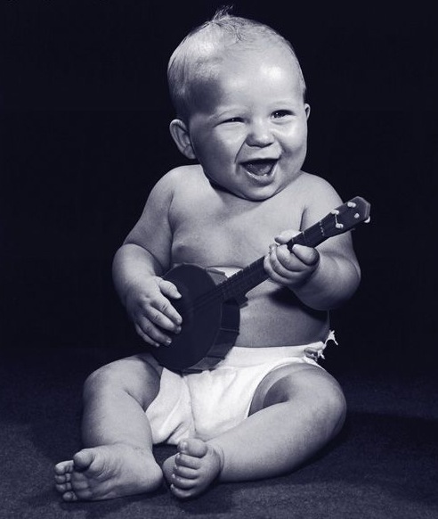 The Cloudless Sulphur: The Baby's Banjo