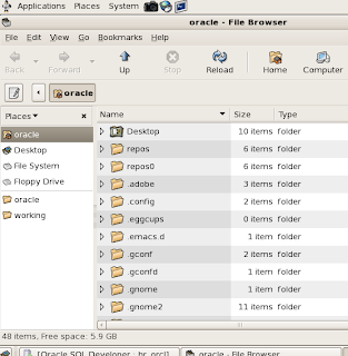 Srini's Boulevard: How to open linux folders in the same window?