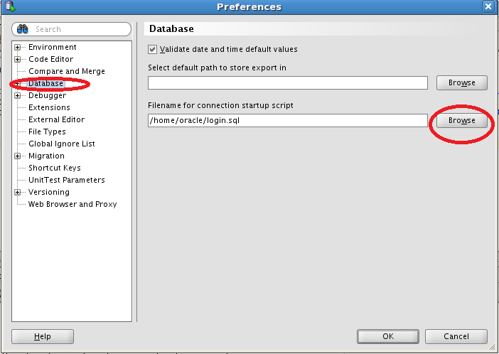 Srini's Boulevard: How to set login preferences (SQLDeveloper)?