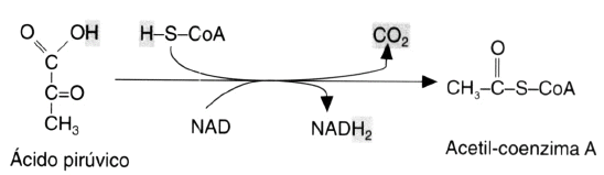 Science Education Resources || Recursos Educativos en CC.NN ...