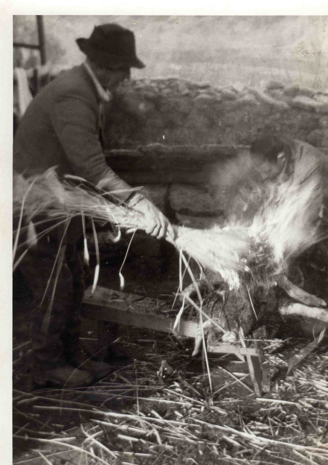 Freguesia de Vilela do Tâmega: Chamuscar o reco