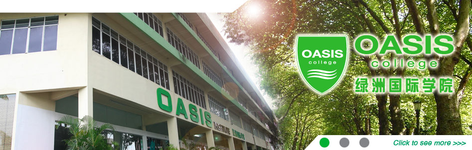 Oasis College-Diploma Business Studies