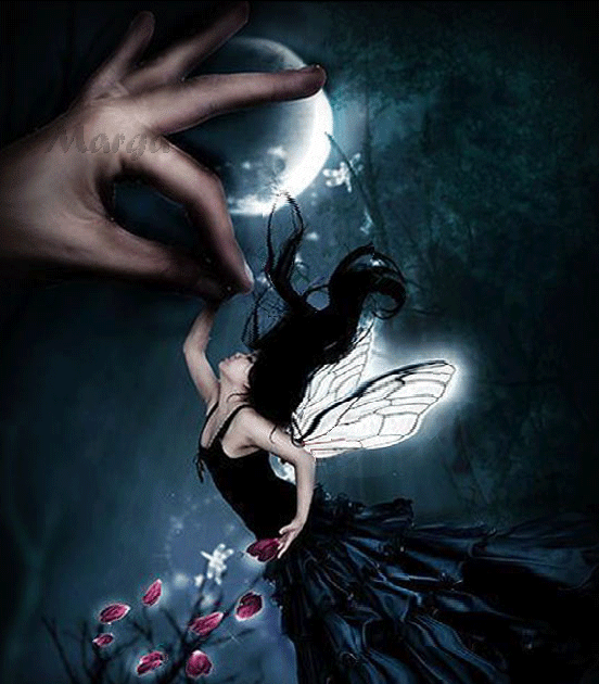 Marga Seoane: HOY... *Colgada de una liana...