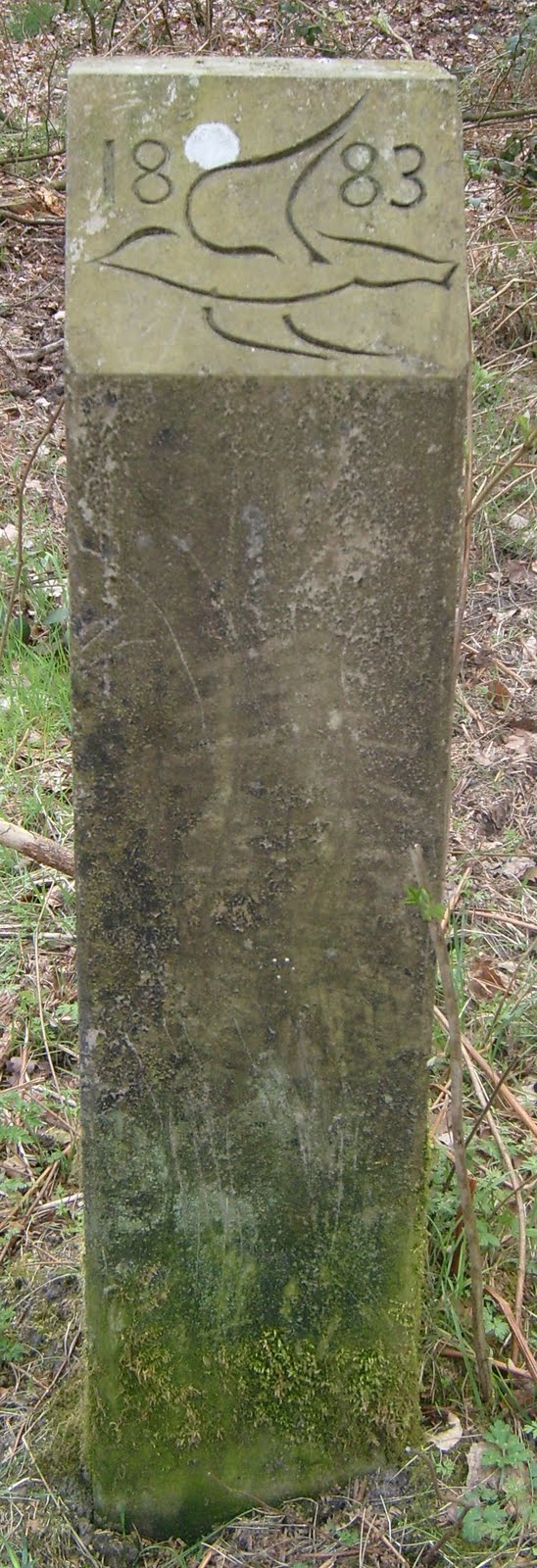 Dr Tony Shaw: Joseph Whitaker and the Bird Stone, Thieves Wood ...