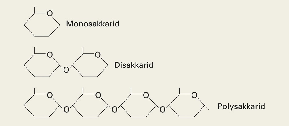 karbohydrater: Grunnleggende om karbohydrater