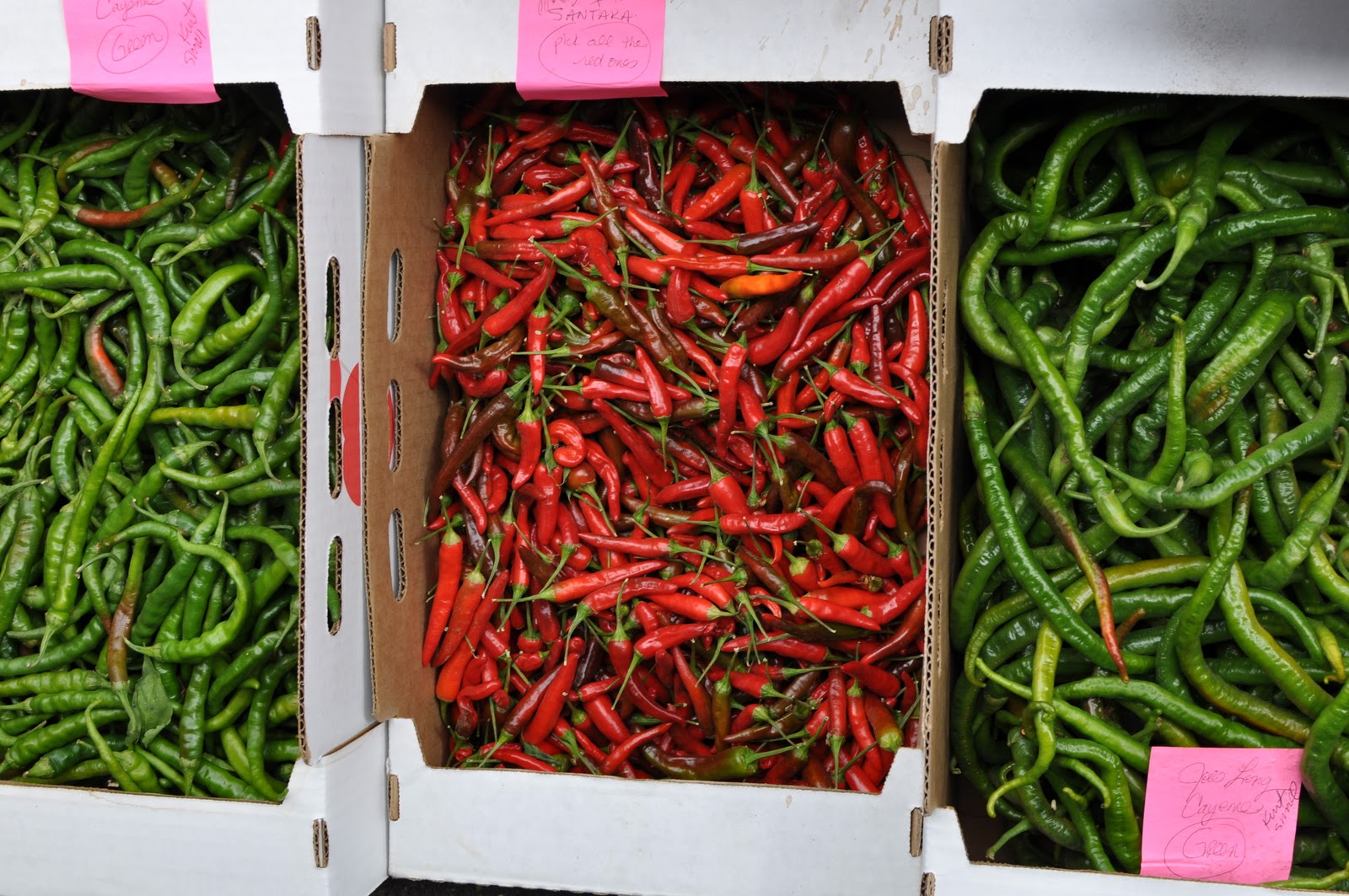 The Weather in Cascadia: Back to Basics: Roasting Peppers