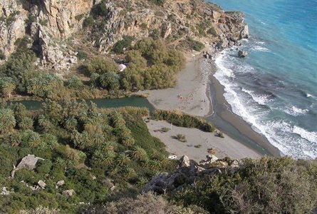τα κοάλα τίποτα!: Συνεχείς αναζοπυρώσεις σε Κάρυστο και στο ...