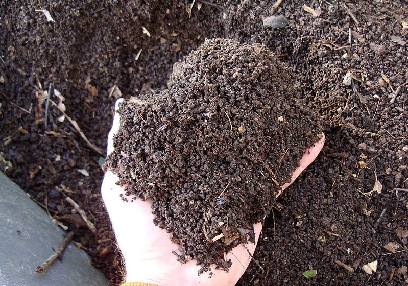 Οικιακή κομποστοποίηση