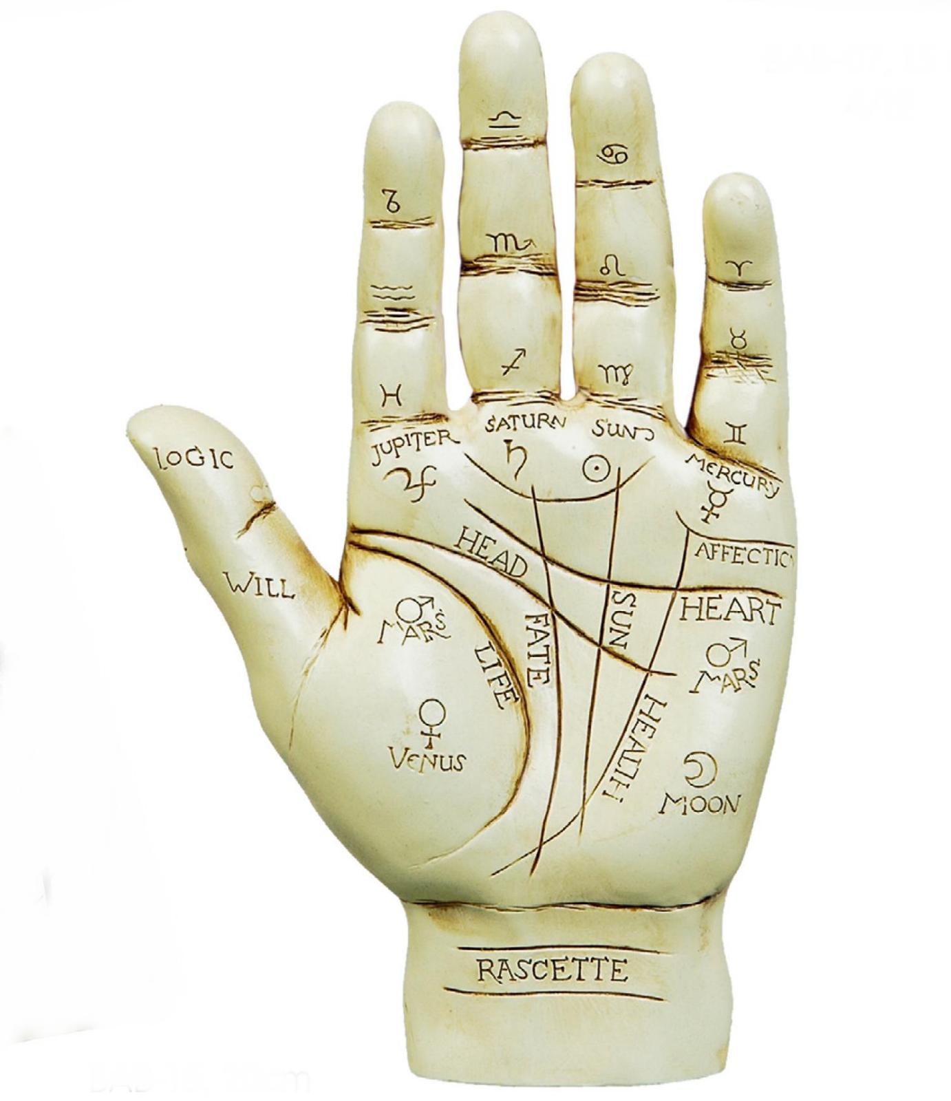 PALMISTRY