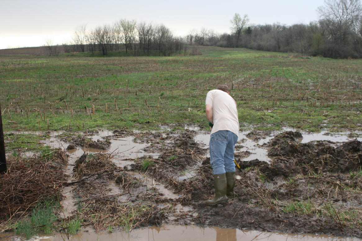 the farmer's wife: Diggin' Ditches!