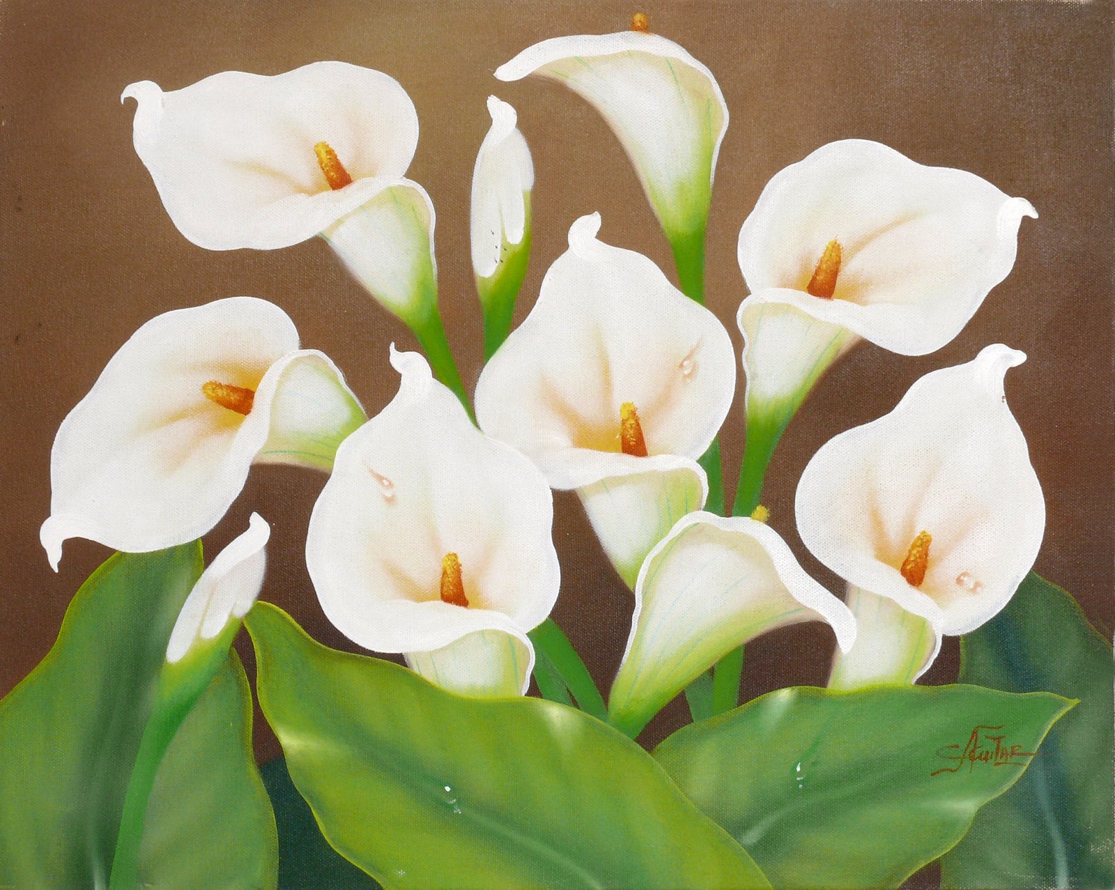 Impulso Arte Peru: Calas