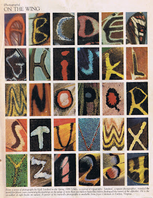 FLUX-USA: Butterfly wing alphabet