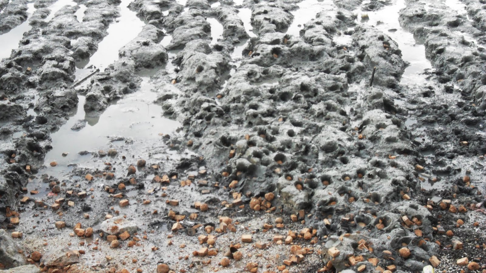 LEOclub of UHS: Em Mud Balls throwing-8 August 2010