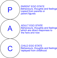 Business Management: Transactional Analysis and Management