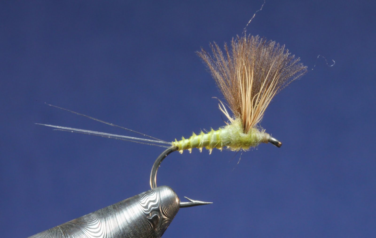 Fly Fishing and Fly Tying: Biot Body CDC and Deer Hair Comparadun