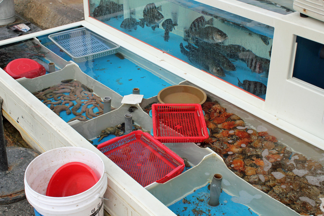 The Mason's: 1st Okpo Exploring Trip