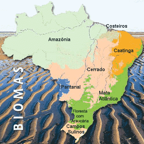Biomas: Tipos de biomas terrestre