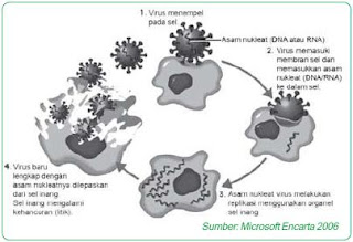 Biologi SMA: Perkembangbiakan Virus