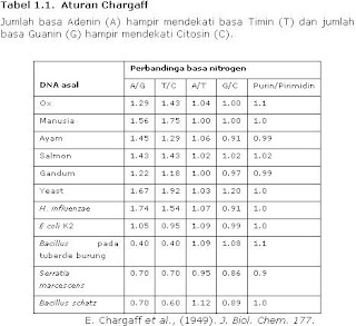 Biologi SMA: Struktur Molekul DNA