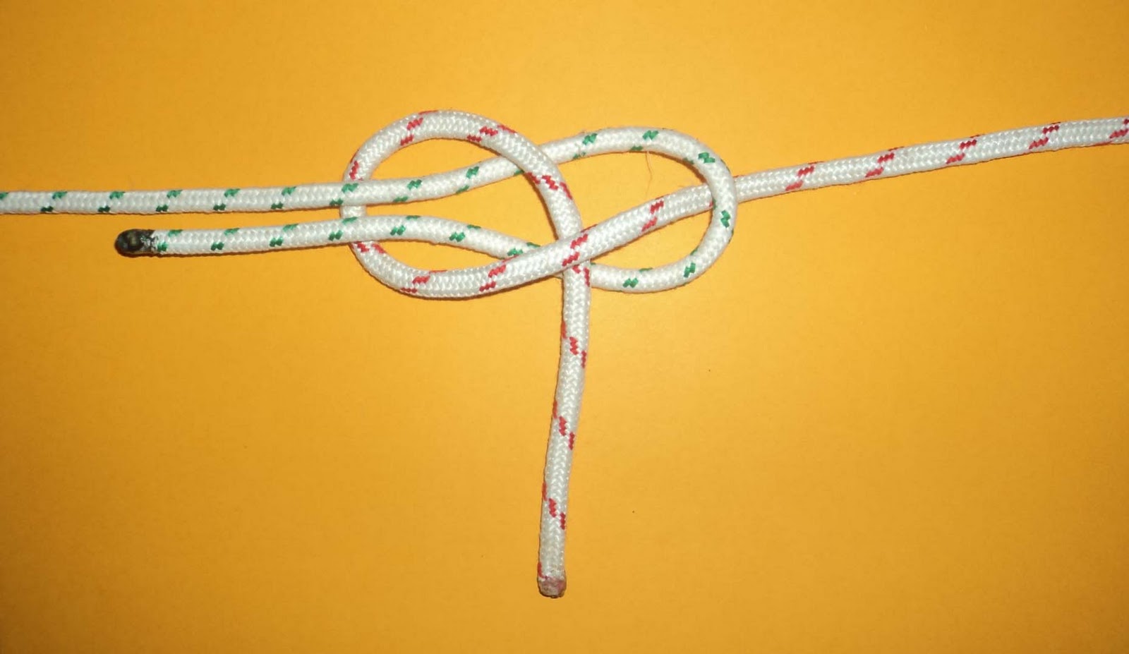 Riprendiamo il cammino: La volta nel doppino