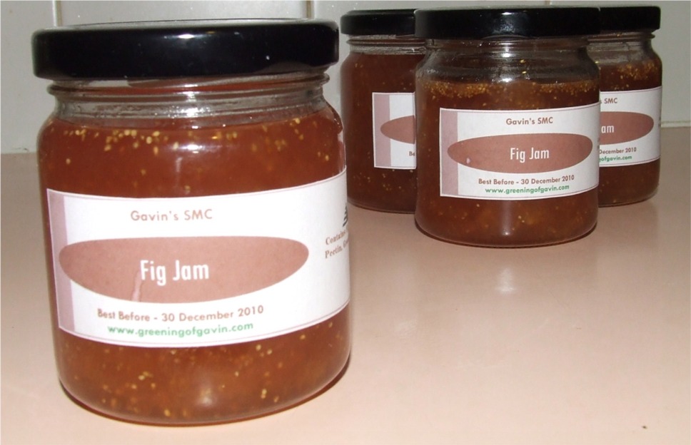 Fig Jam - The Greening of Gavin