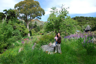 blurpenguin: Tree Crop Farm, Akaroa NZ