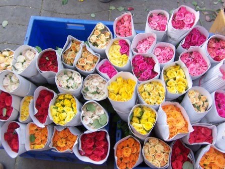 Whazzup Delhi!!!: Walk to the "Soon to be Annihilated" Flower Markets ...