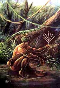 Casa de Santo Obacari: Ossain