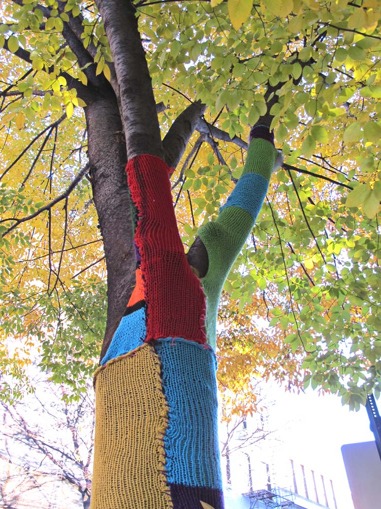 Jennifer Coyne Qudeen: Philadelphia