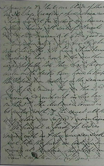 carinberger: cross writing