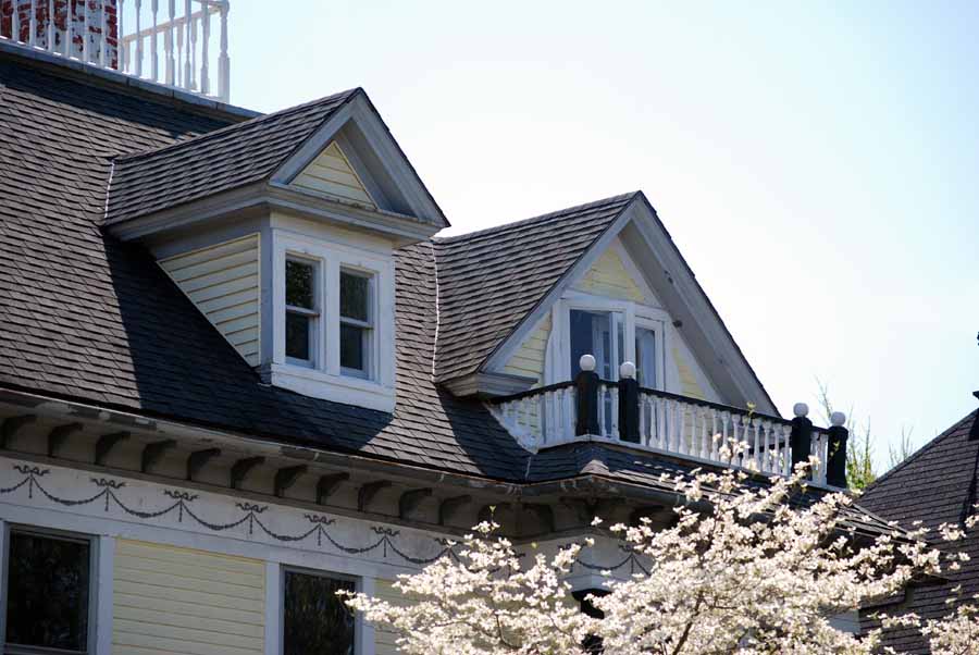 Lew's Other Pics: Window Views - Second story windows