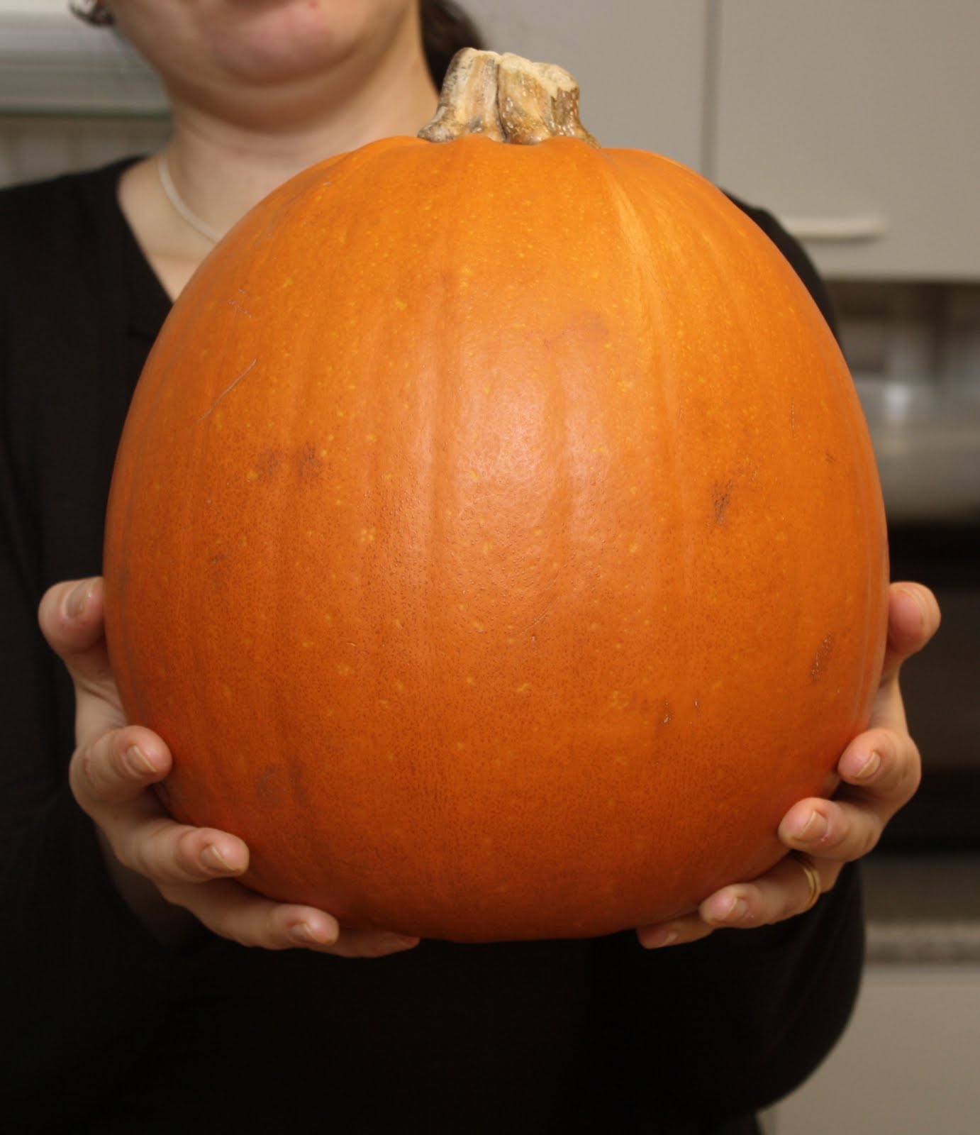 Anzkun kauha: Kurpitsa