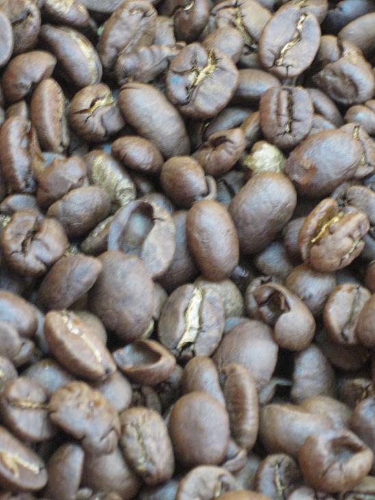 Swedish School in Lusaka: A tour at the Munali Coffee Farm