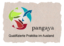 Pangaya: Auslandspraktikum Erneuerbare Energien in den USA (bezahlt)