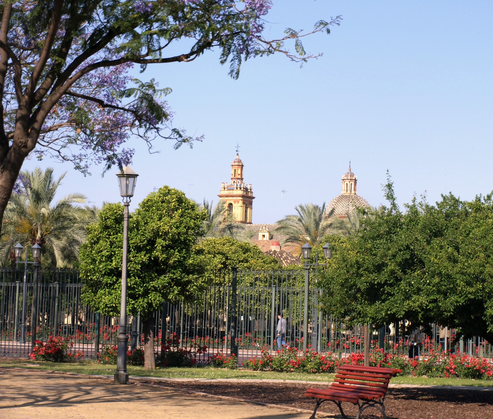 Sevilla Daily Photo: 1/9/10 - 1/10/10