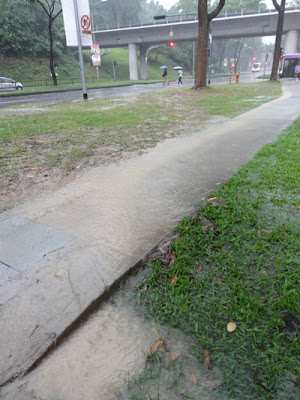 our life in Singapore: wet wet way home ....