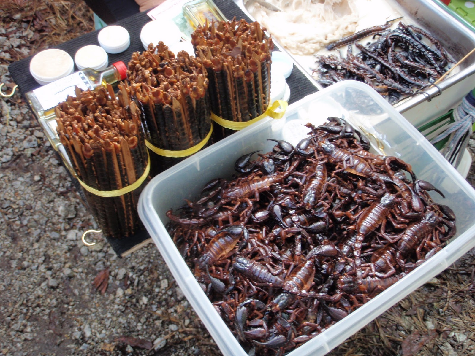 Xing Fu: MEDICATION FROM CENTIPEDE