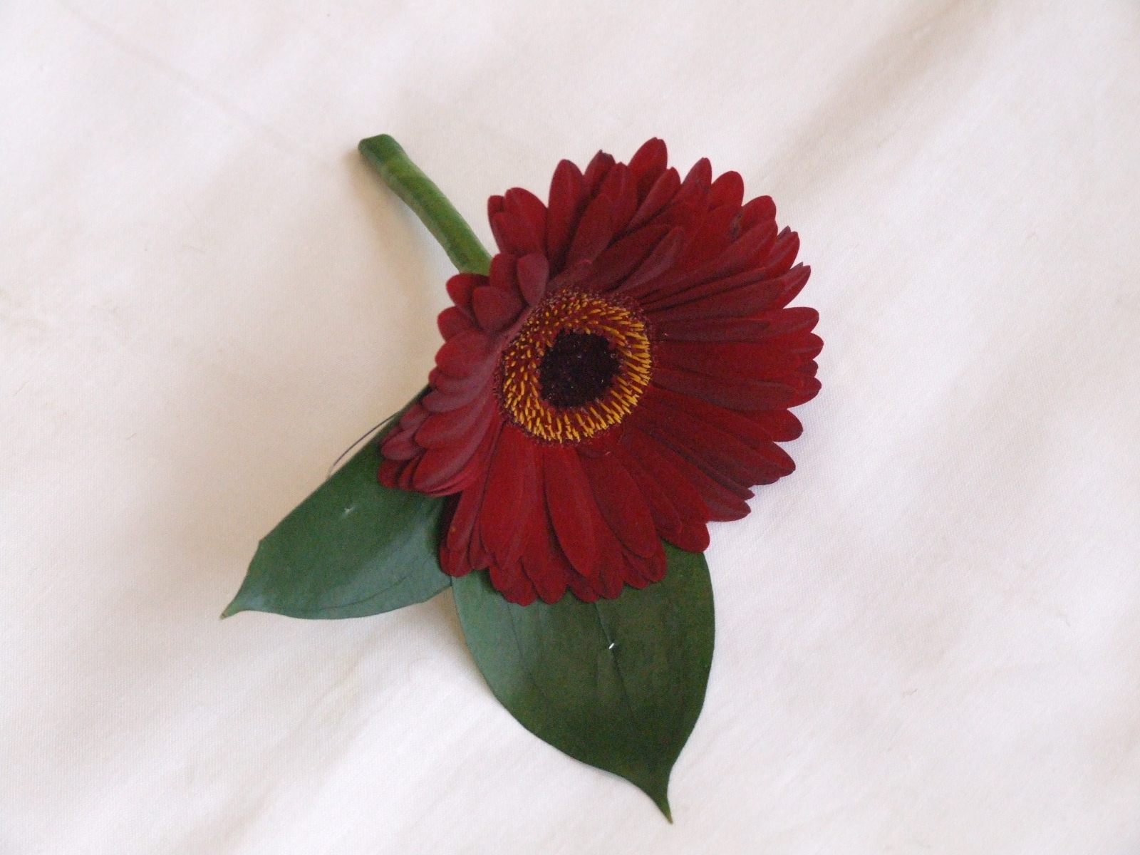 RJ's Florist: Bordeaux and Ivory Gerbera Wedding Flowers