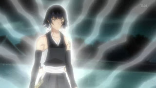 Bleach 245: Pursue Byakuya! The Confused Gotei Divisions