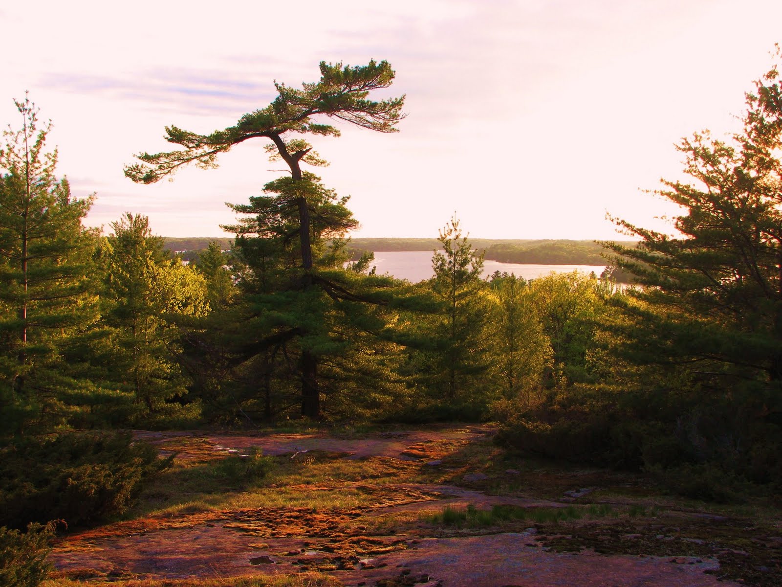Muskoka Seasons: HUCKLEBERRY ROCK