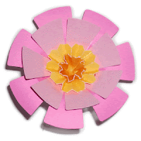 Square Petal and Daisy Flower