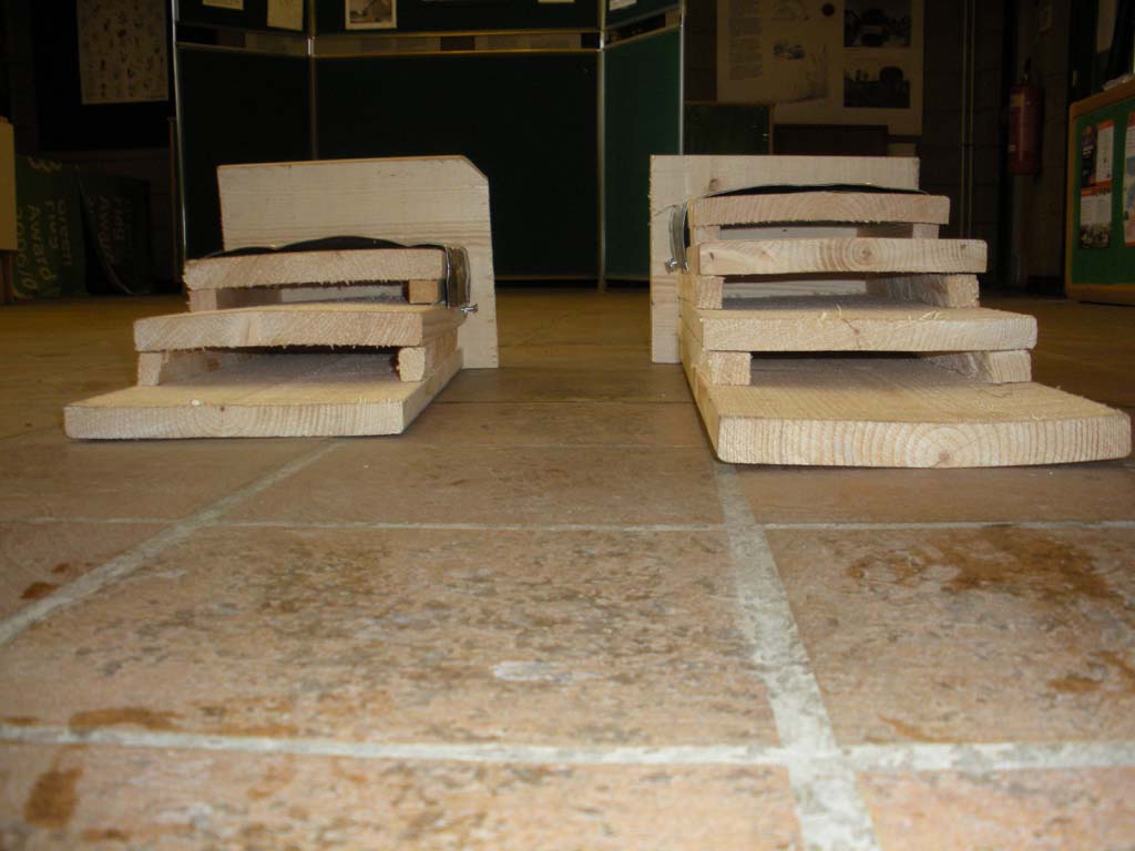 Bedfordshire Bat Group: Kent Bat Box update