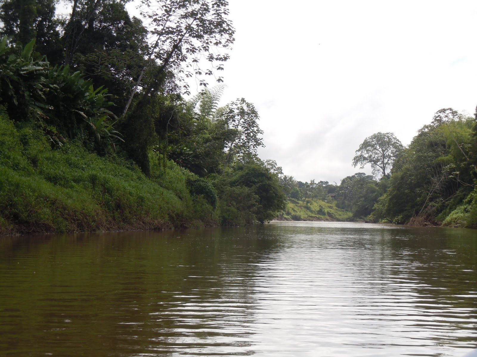 My Nicaragua Trip: Trip up the Rio Coco and Managua